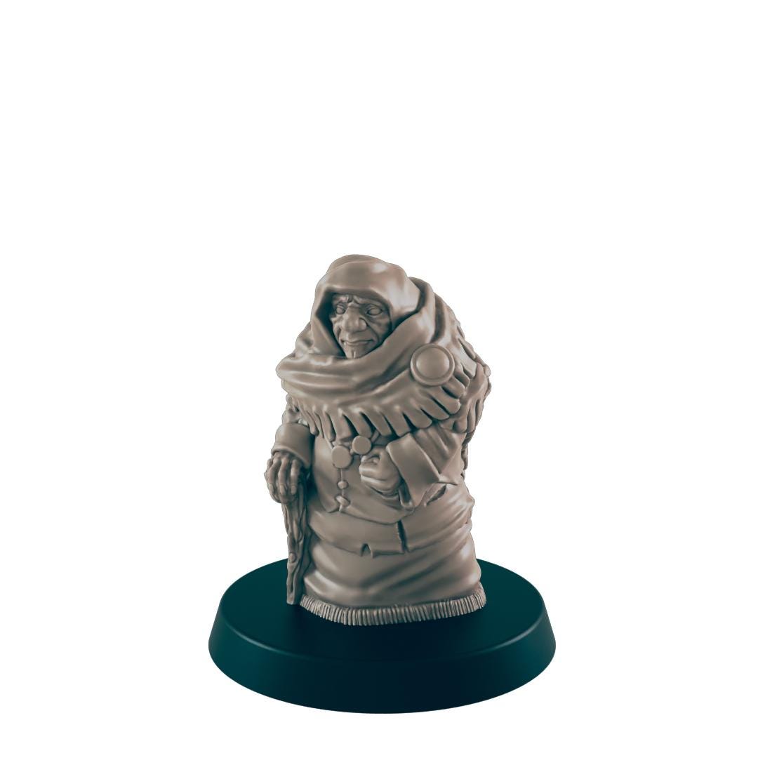Human Mini | Wise Elder Grandmother | Female Townsfolk NPC Figure | Dnd ...