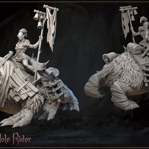 Keir Female Mole Rider W/ Mole Mini Miniature Model Character Figure ...