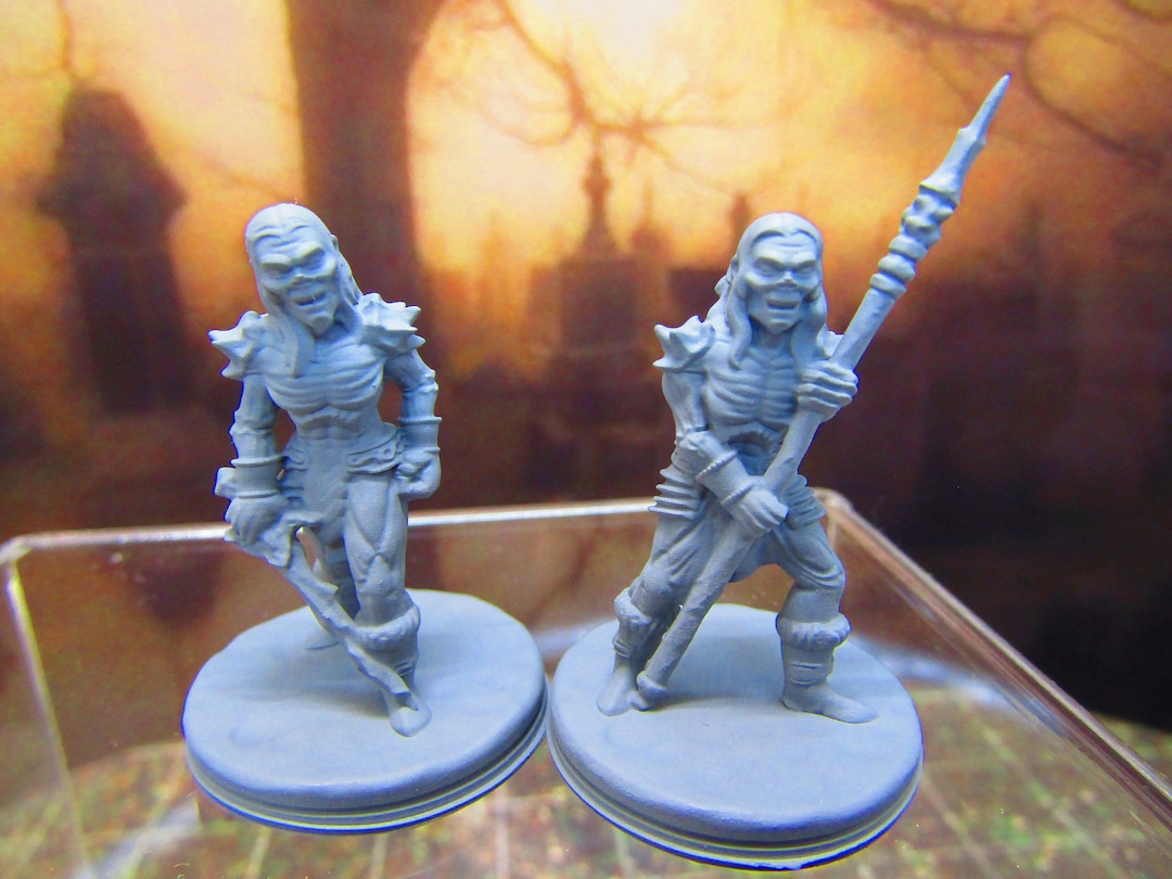 Pair of Barrow Wight Ghost Warriors Encounter Mini Miniature 3D Printed ...