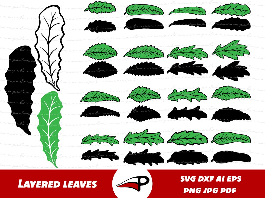 Hand-drawn Fall Leaves SVG, Plant Png, Leaves Dividers Svg, Laser Cut ...