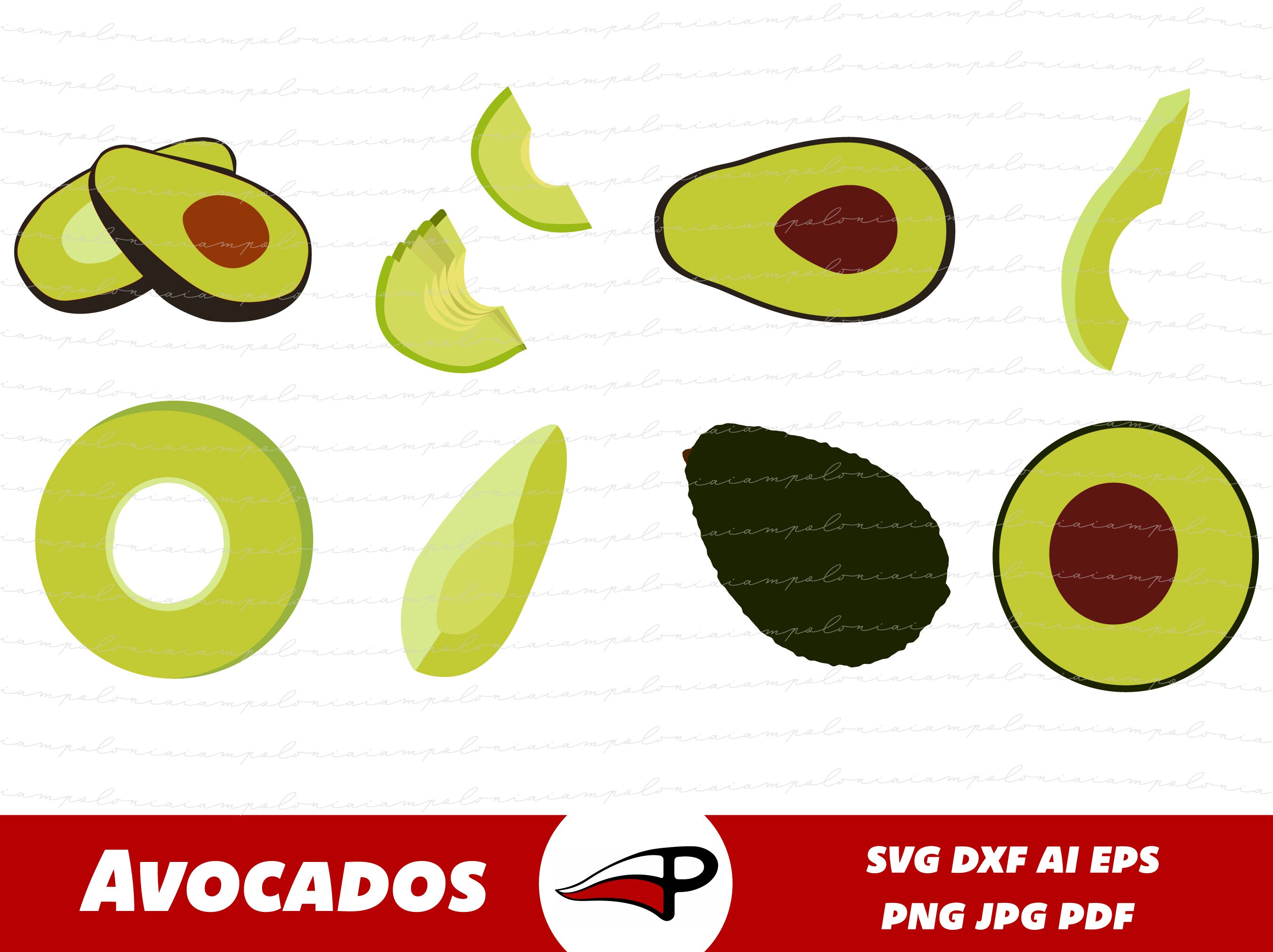 Avocados SVG Bundle Realistic Vegetables PNG Pack Guacamole | Etsy