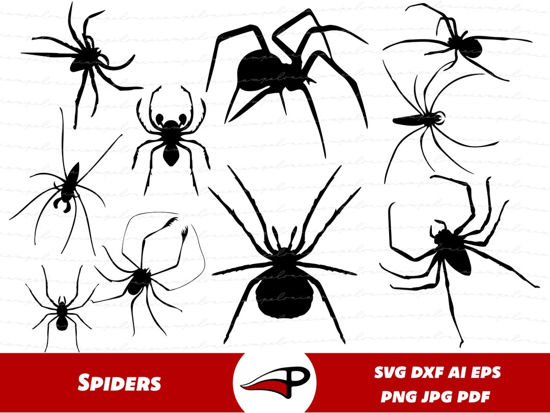 Spiders SVG, Arachnids PNG, Halloween Decor, Halloween Clipart, Spider ...