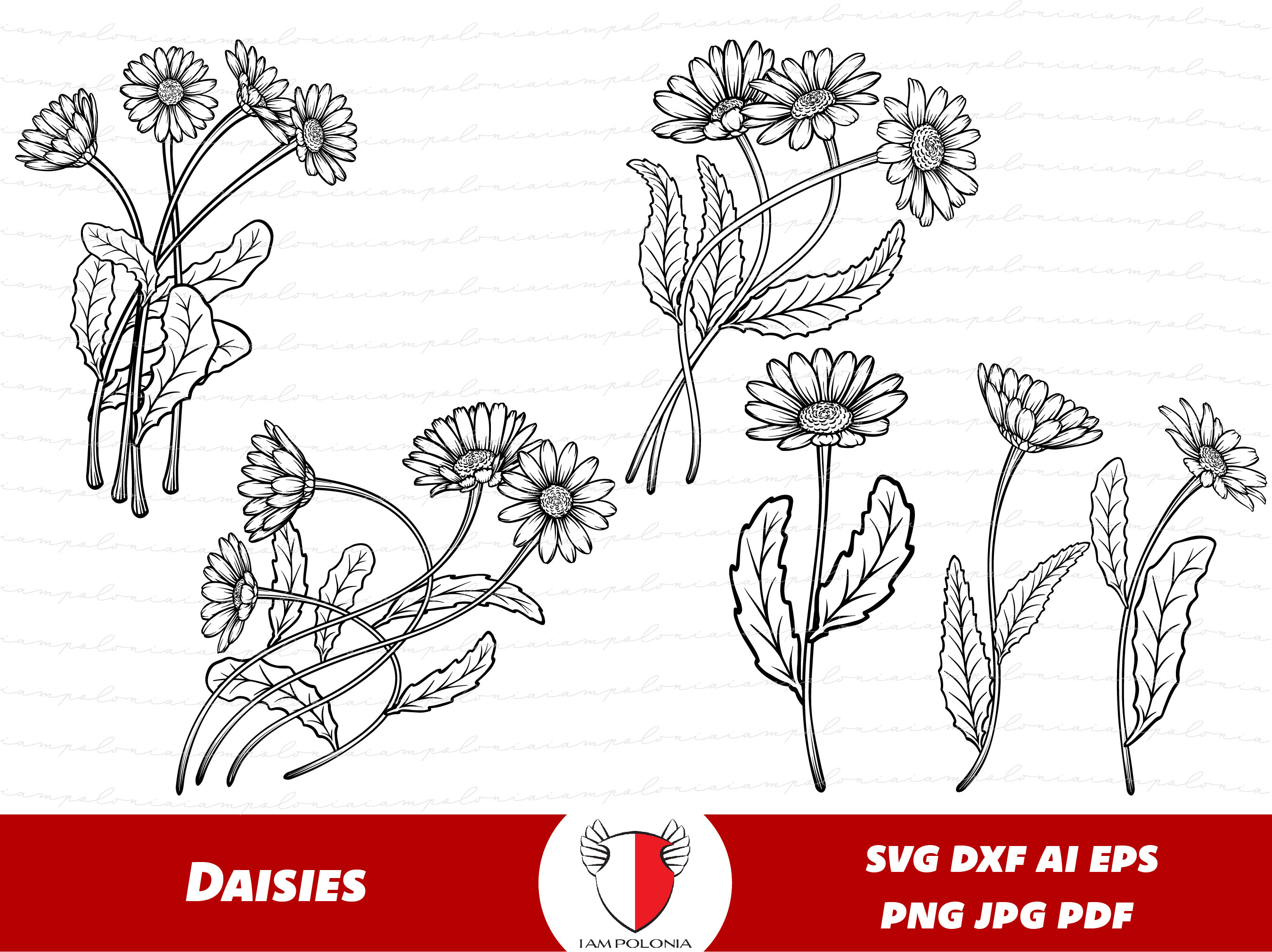 Daisy SVG Bundle Daisies Png Bouquet Clipart Decorative - Etsy