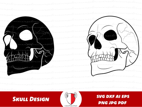 Skull SVG Realistic Skull Png Skeleton Svg Skull Clipart | Etsy