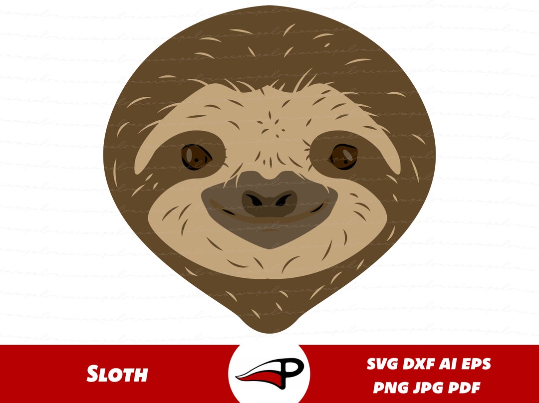 Faultier SVG, Baby Faultier Png, niedliche Faultier Clipart ...