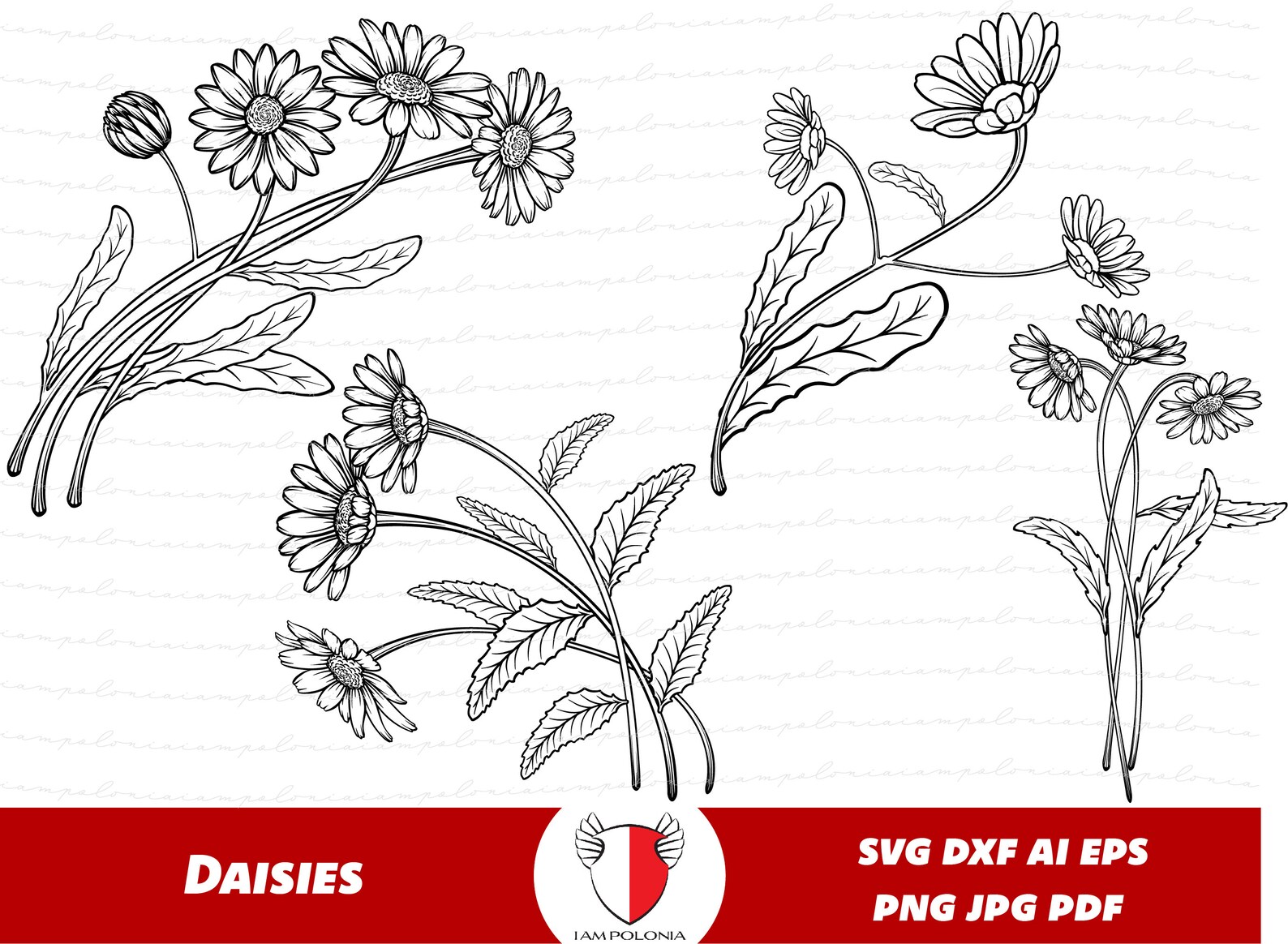 Daisy SVG Bundle Daisies Png Bouquet Clipart Decorative | Etsy