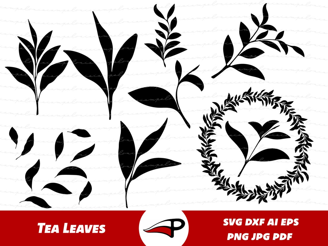 Tea Leaf SVG, Tea Leaves PNG Bundle, Green Tea Leaf Clipart, Leaves ...