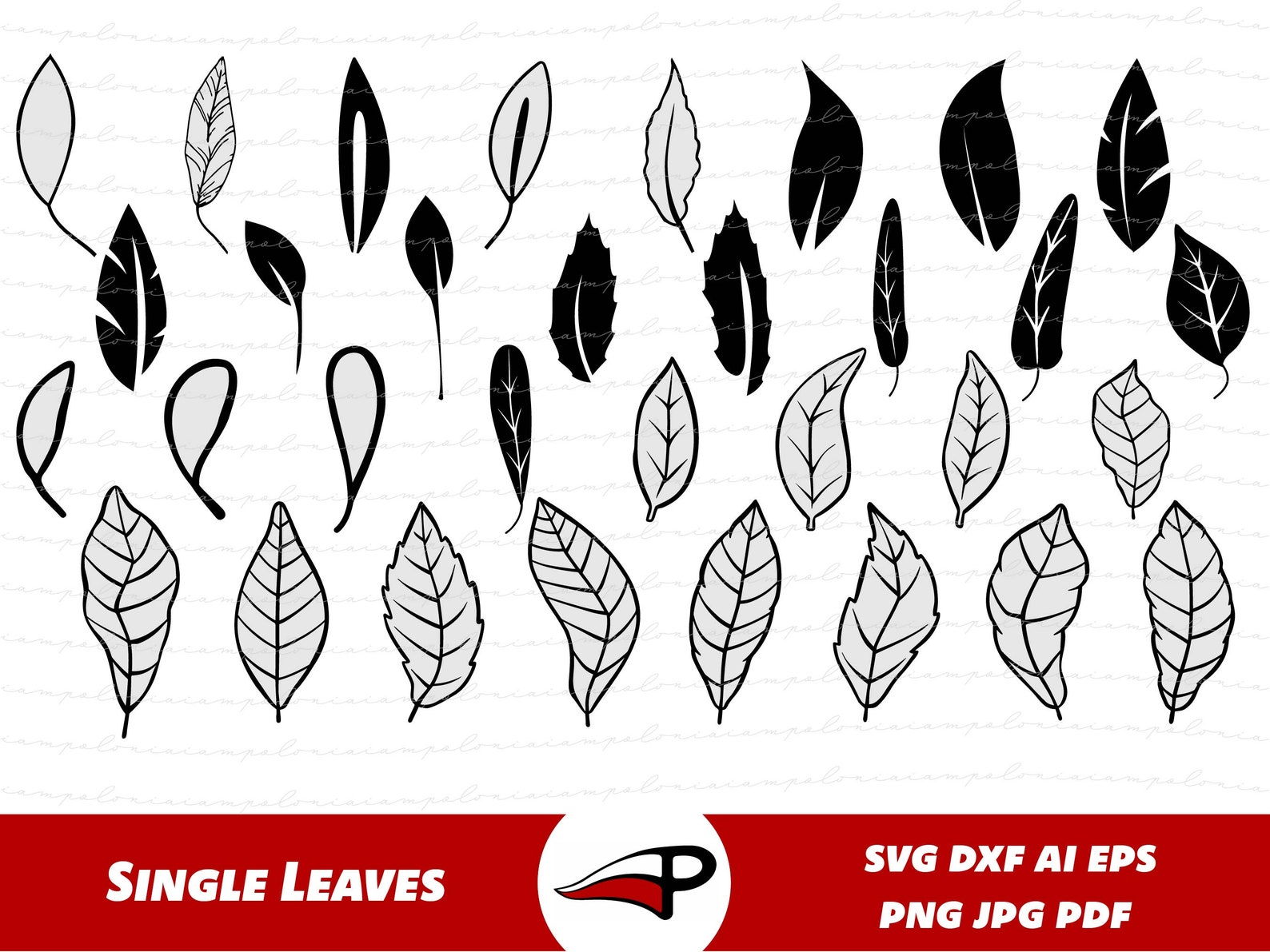 Leaves Svg Fall Leaf Png Tree Foliage Clipart Autumn Colors - Etsy