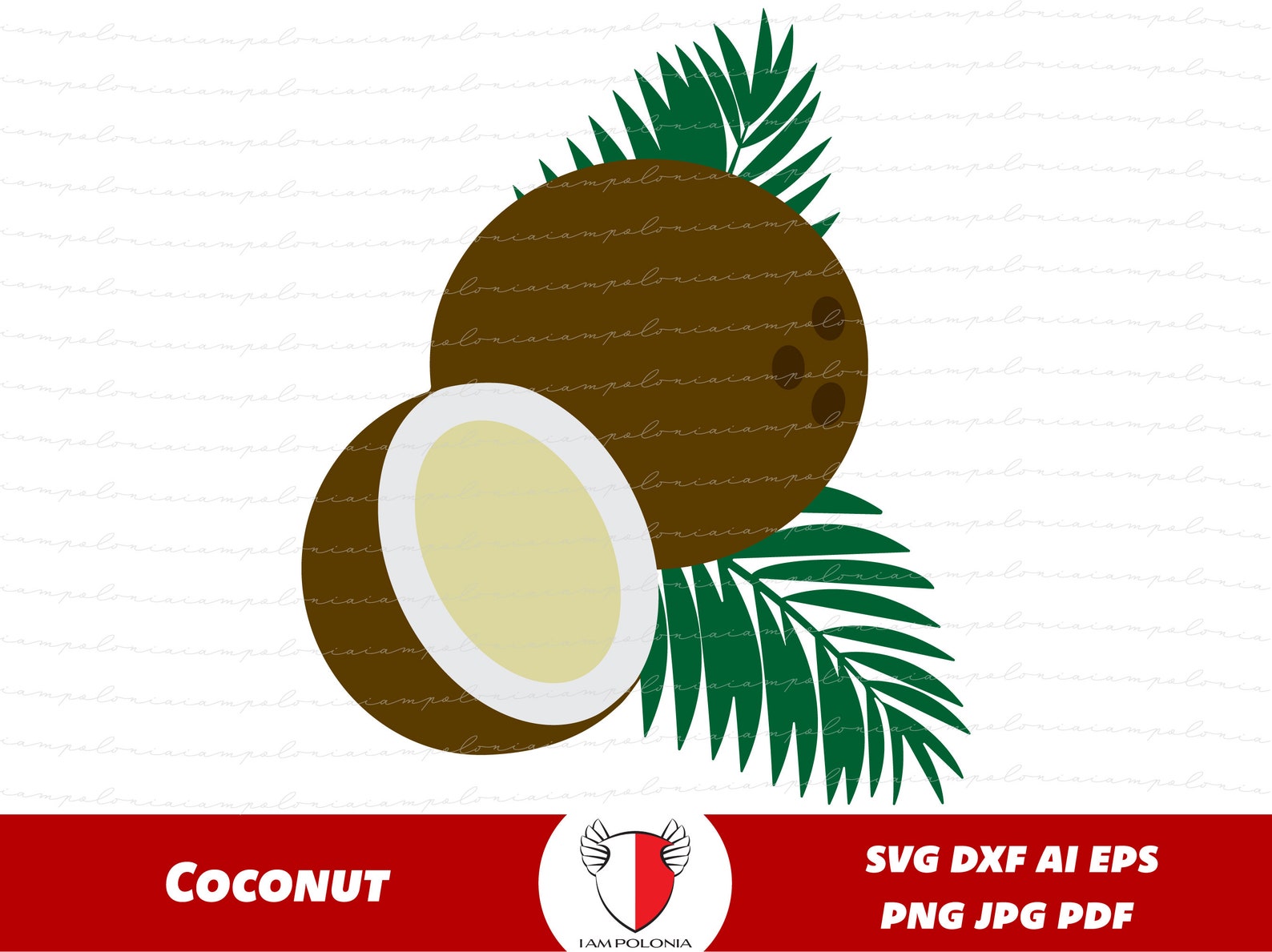 Coconut Svg Coconuts Png Cocount Clipart Coco Leaves | Etsy