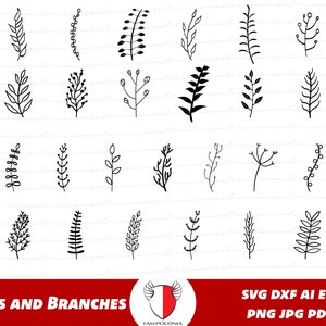 Floral Divider SVG Bundle, Botanical Clipart, Laurel PNG Pack, Floral ...