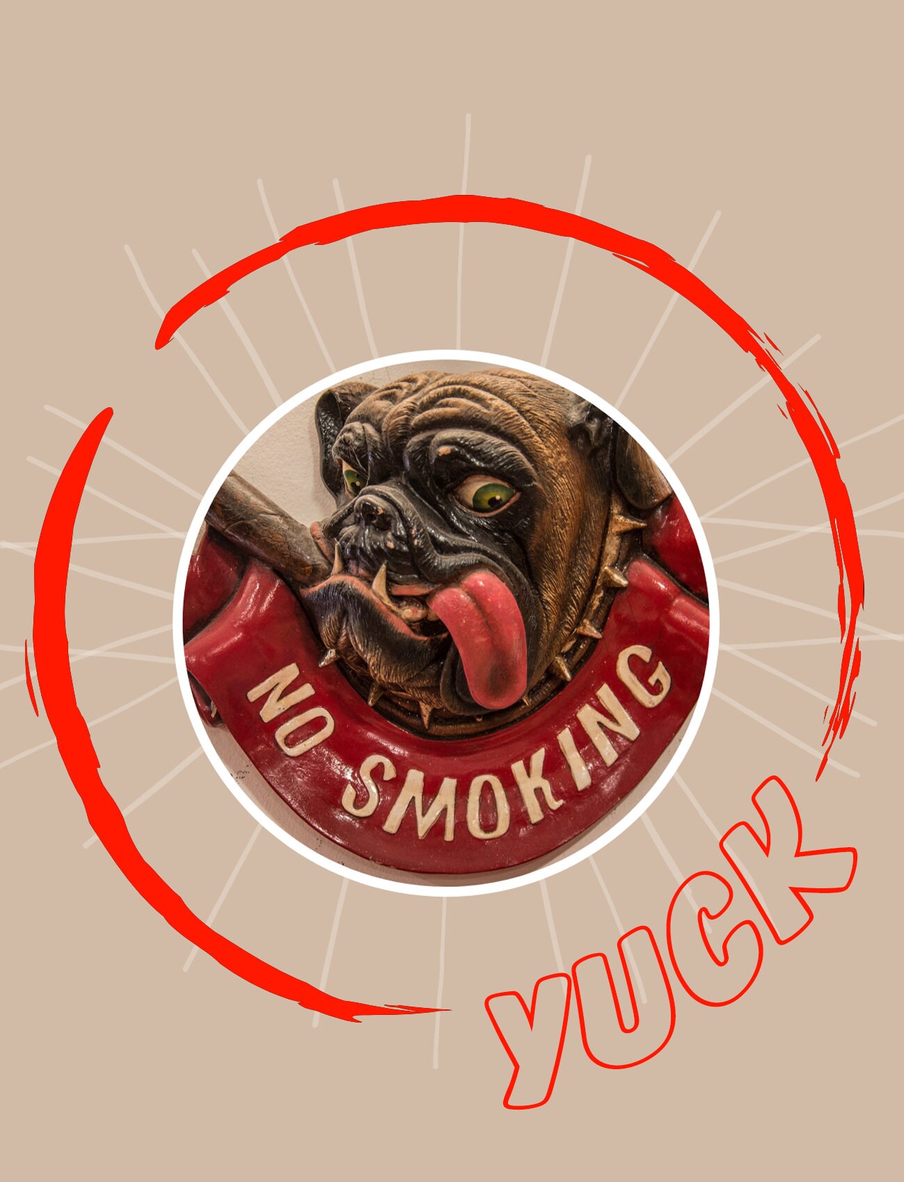 Split Borders SVG Bundle Open Frames PNG Set Outline - Etsy