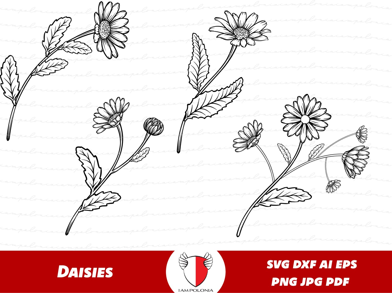 Daisy SVG Bundle Daisies Png Bouquet Clipart Decorative | Etsy