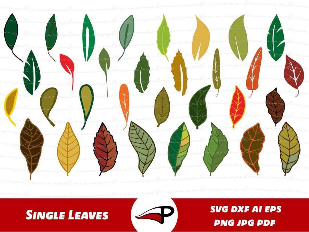 Leaves Svg, Fall Leaf Png, Tree Foliage Clipart, Autumn Colors Svg ...