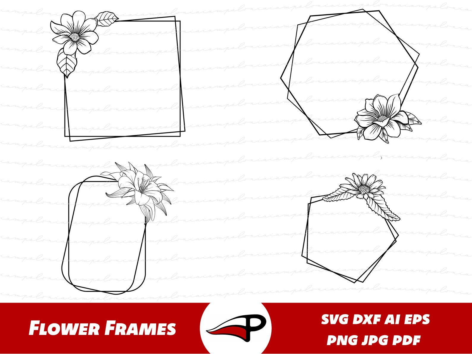 Flower Frames SVG Bundle Wedding Invitation Frame PNG Pack - Etsy
