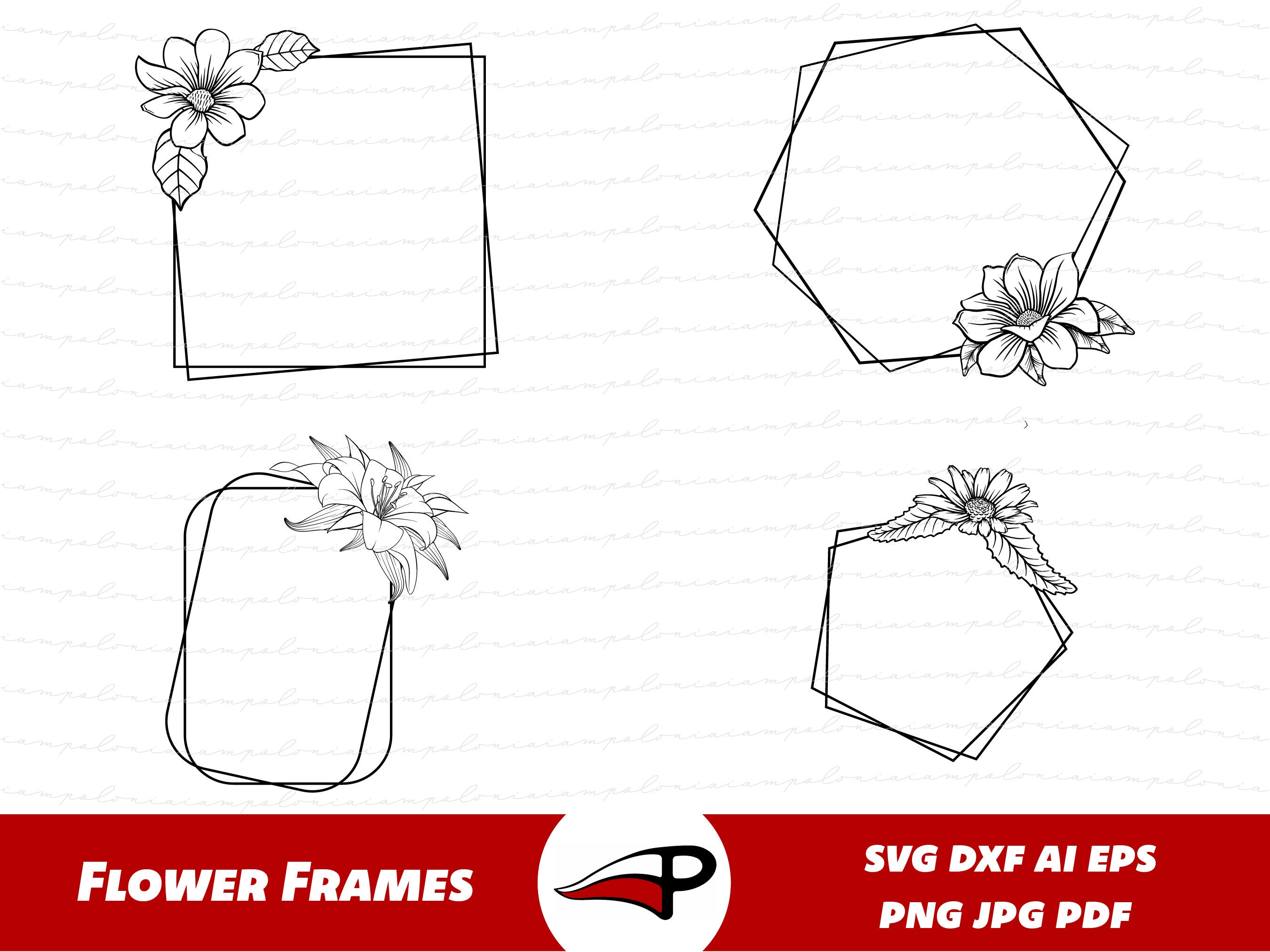 Flower Frames SVG Bundle Wedding Invitation Frame PNG Pack - Etsy