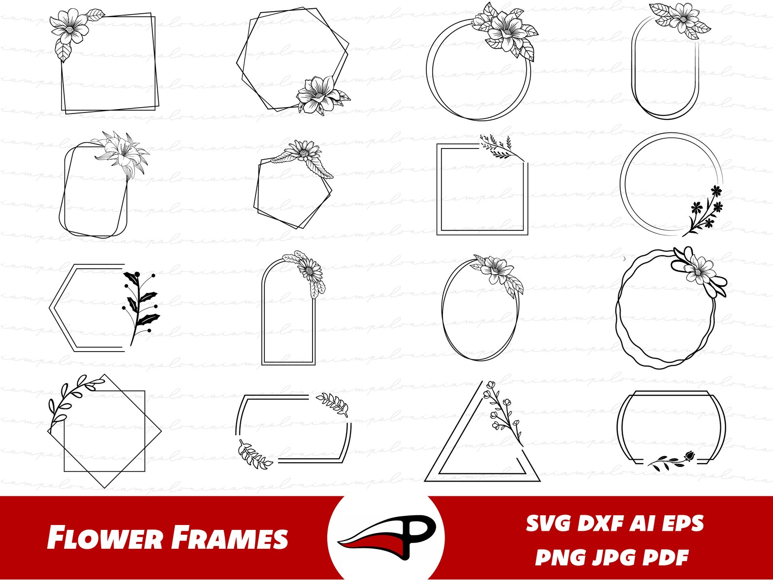 Flower Frames SVG Bundle Wedding Invitation Frame PNG Pack - Etsy