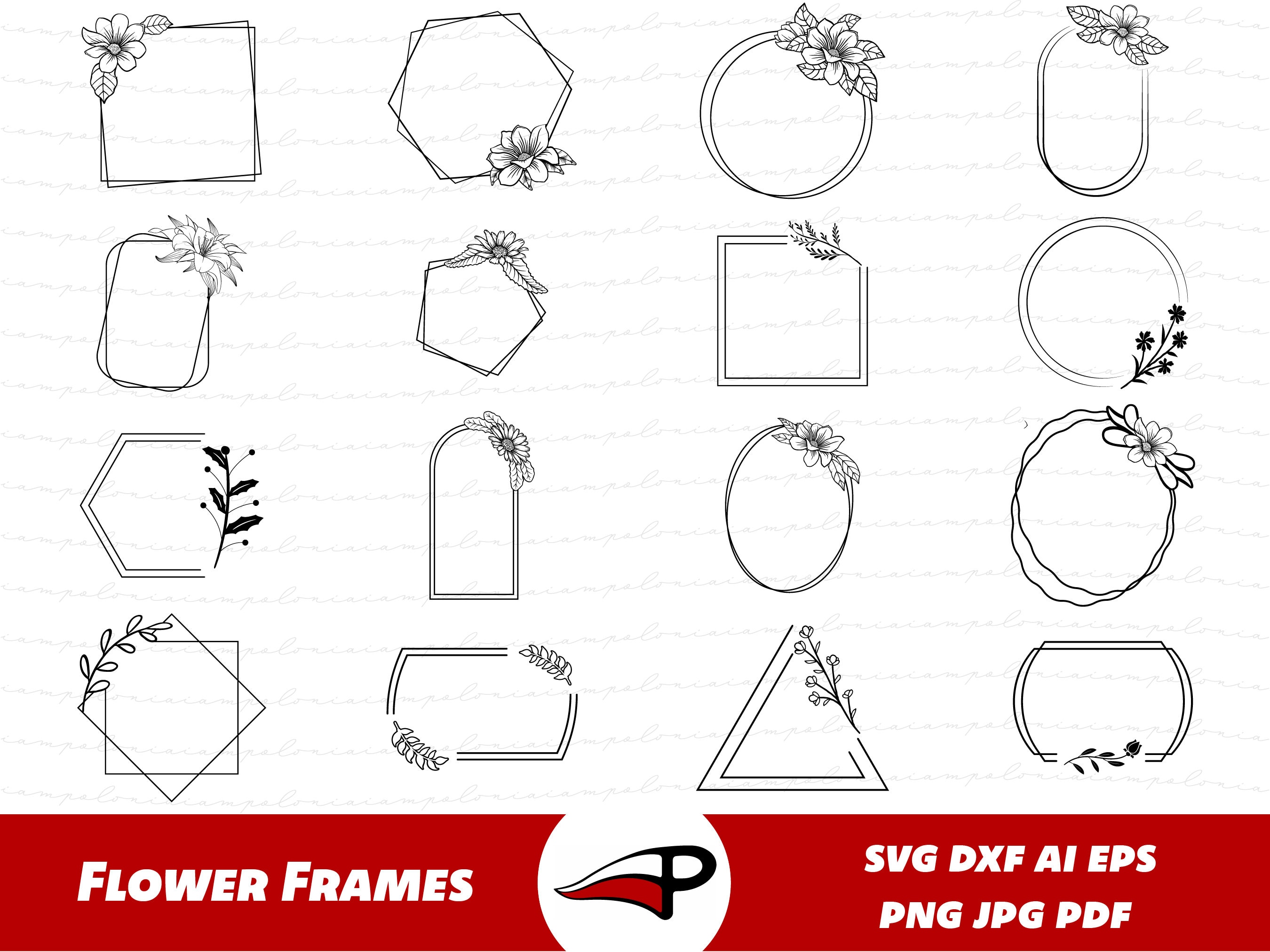Flower Frames SVG Bundle, Wedding Invitation Frame PNG Pack, Floral ...