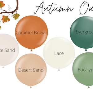 Autumn Oasis Biodegradable Balloons / Fall 1st Birthday, Autumn Harvest ...