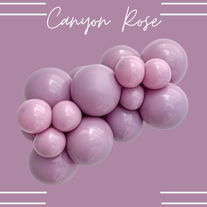 Canyon Rose Tuftex | Canyon Rose Biodegradable Latex Balloons, Dusty ...