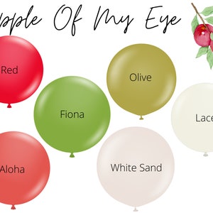 Apple of My Eye Biodegradable Balloons / Apple Birthday Party - Etsy