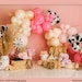 Mountain Ash Balloon Garland Kit / Eucalyptus Balloon Arch, Sage Blush ...