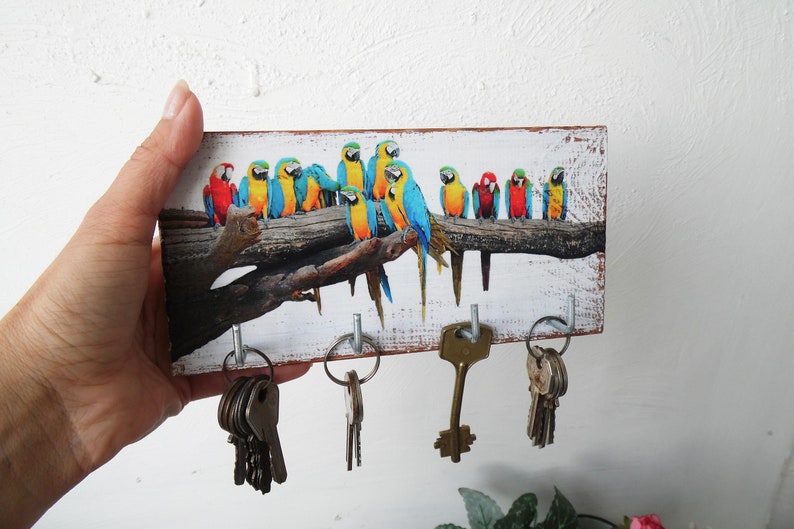 Key Holder Key Holder Parrot Parrot Wall Decor Bird Wall - Etsy