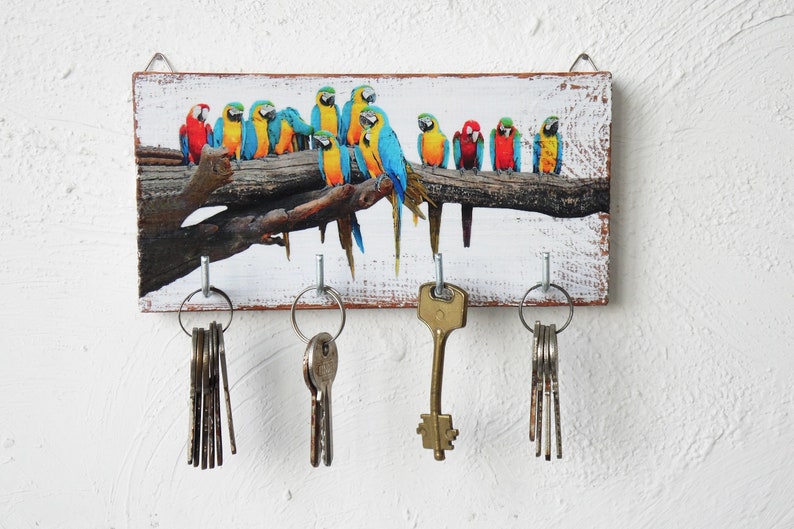 Key Holder Key Holder Parrot Parrot Wall Decor Bird Wall - Etsy
