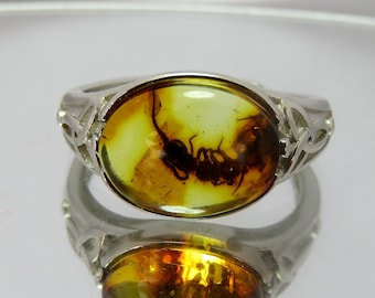 Amber Insect Ring | Etsy