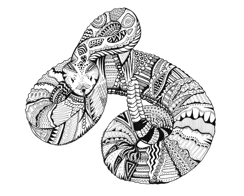 Western Diamondback Rattlesnake 8x10 Print, Desert Animal Series ...