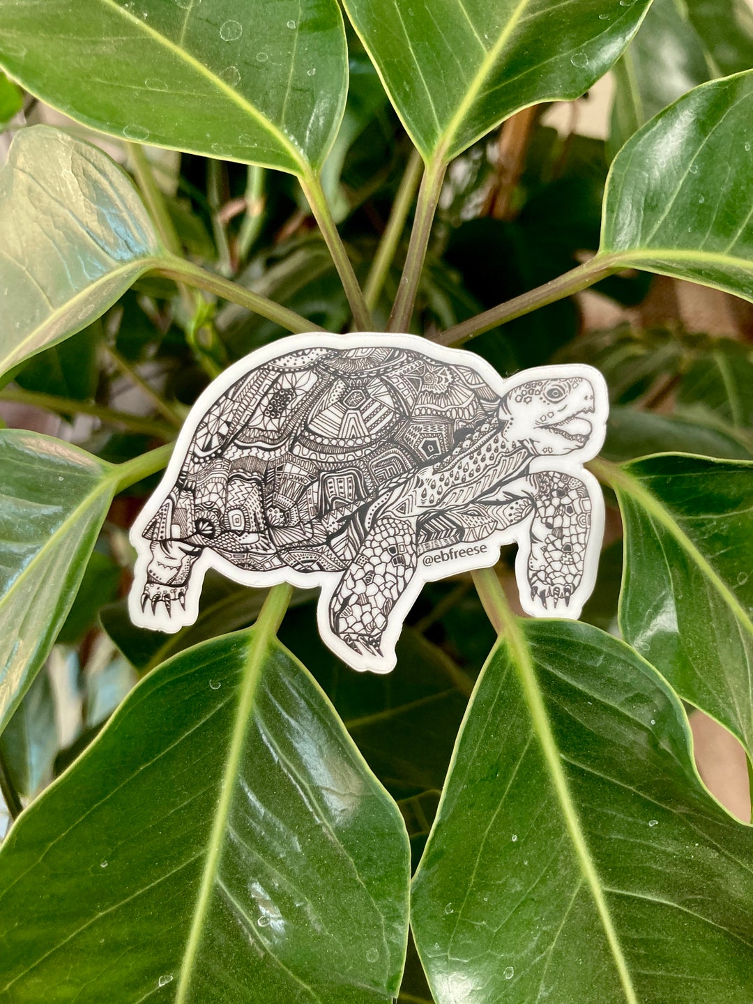 Tortoise Sticker, Wildlife Art, Intricate Design, Desert Animal - Etsy