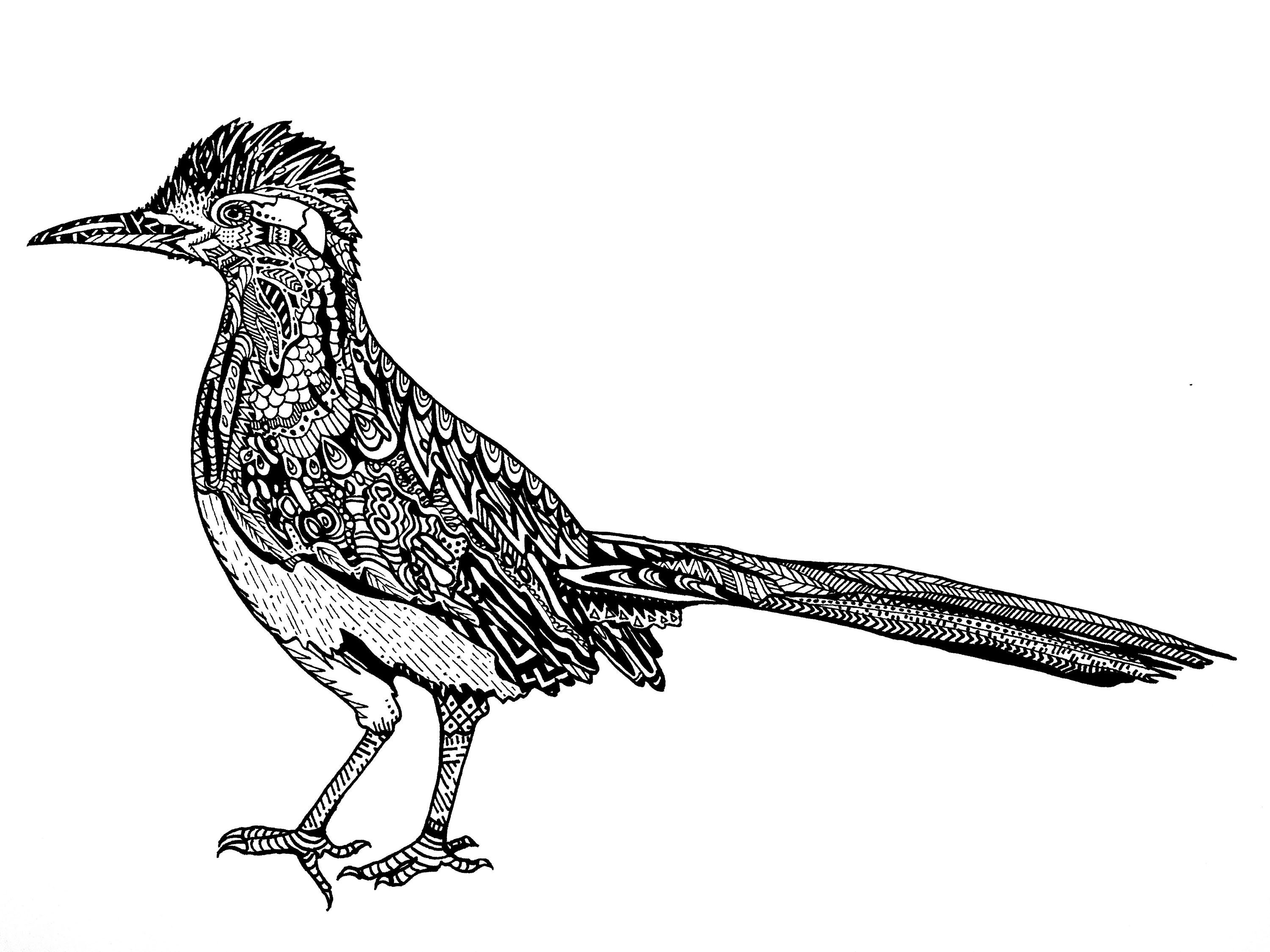Roadrunner 8x10 Print, Wildlife Art, Intricate Design, Desert Animal - Etsy