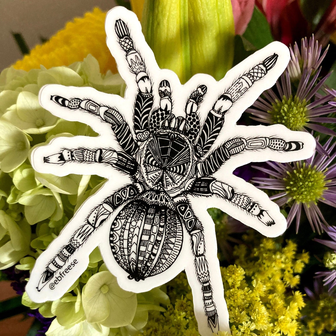 Tarantula Sticker, Wildlife Art, Intricate Design, Desert Animal - Etsy