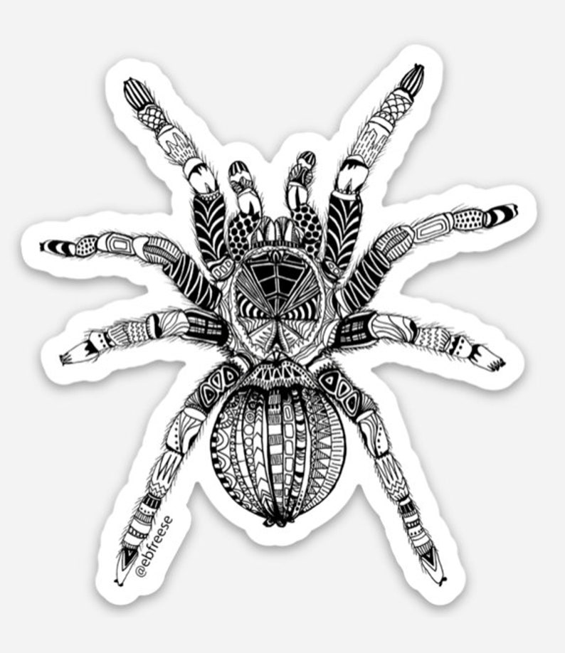 Tarantula Sticker, Wildlife Art, Intricate Design, Desert Animal - Etsy
