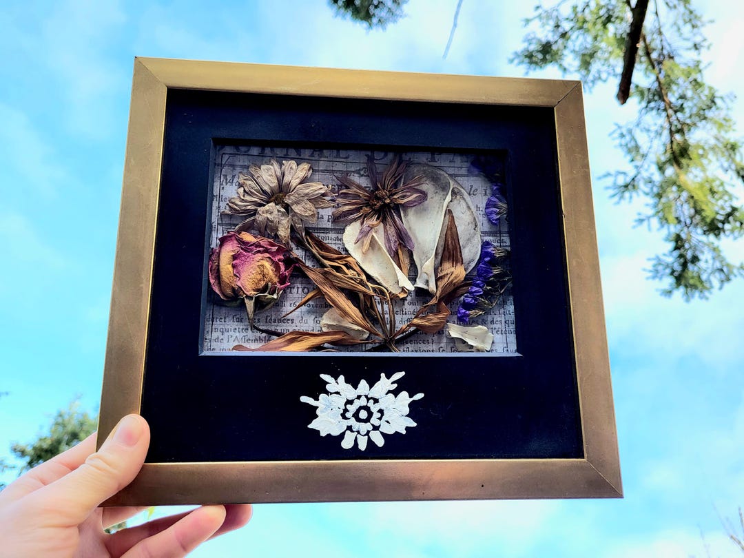 Bone Art, Flower Art, Vintage Home Decor, Oddities, Framed Bones ...