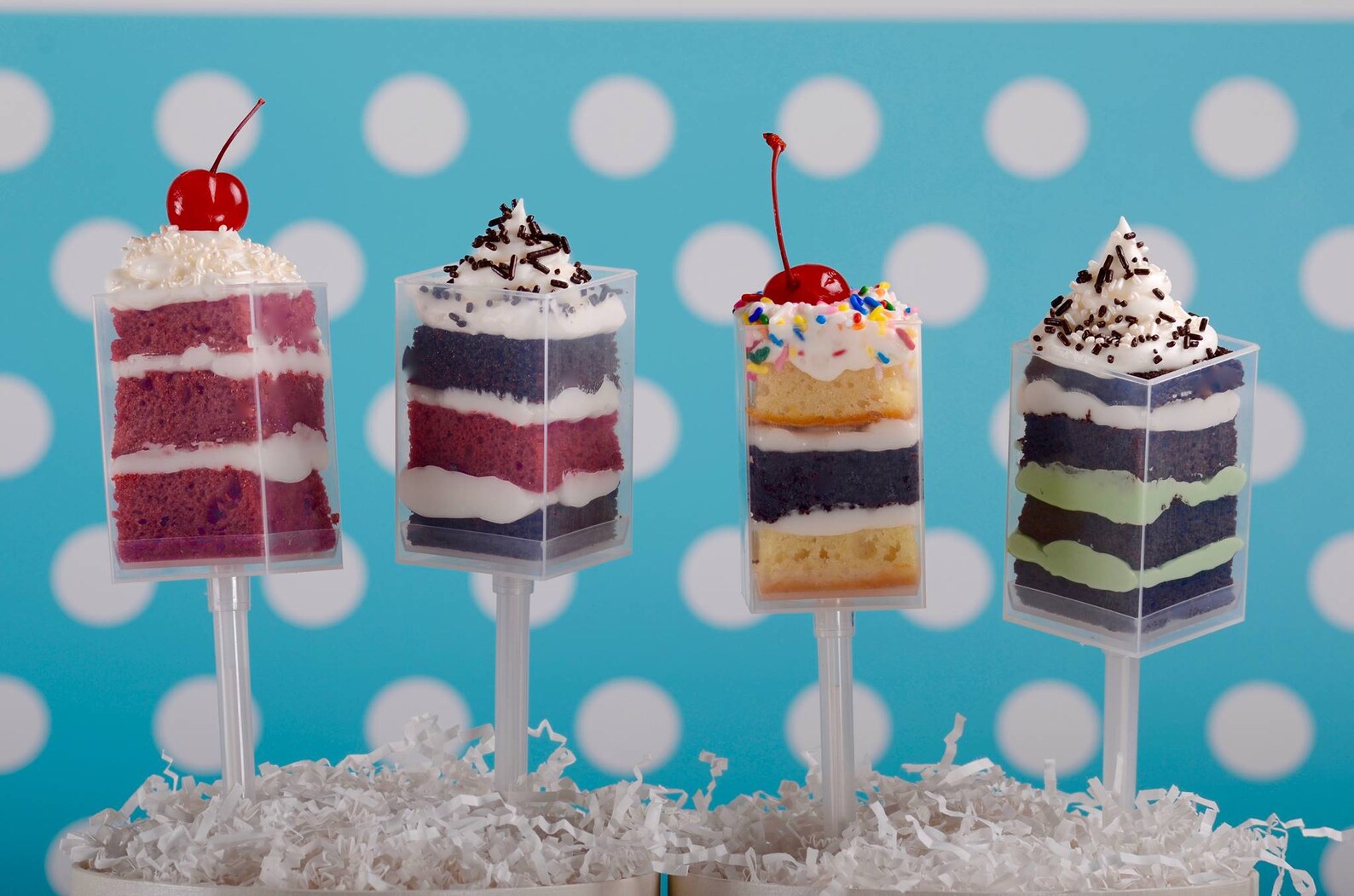 Cakeshooters® - Square Clear Cake Shooter Push Pop - 24 Count - Etsy