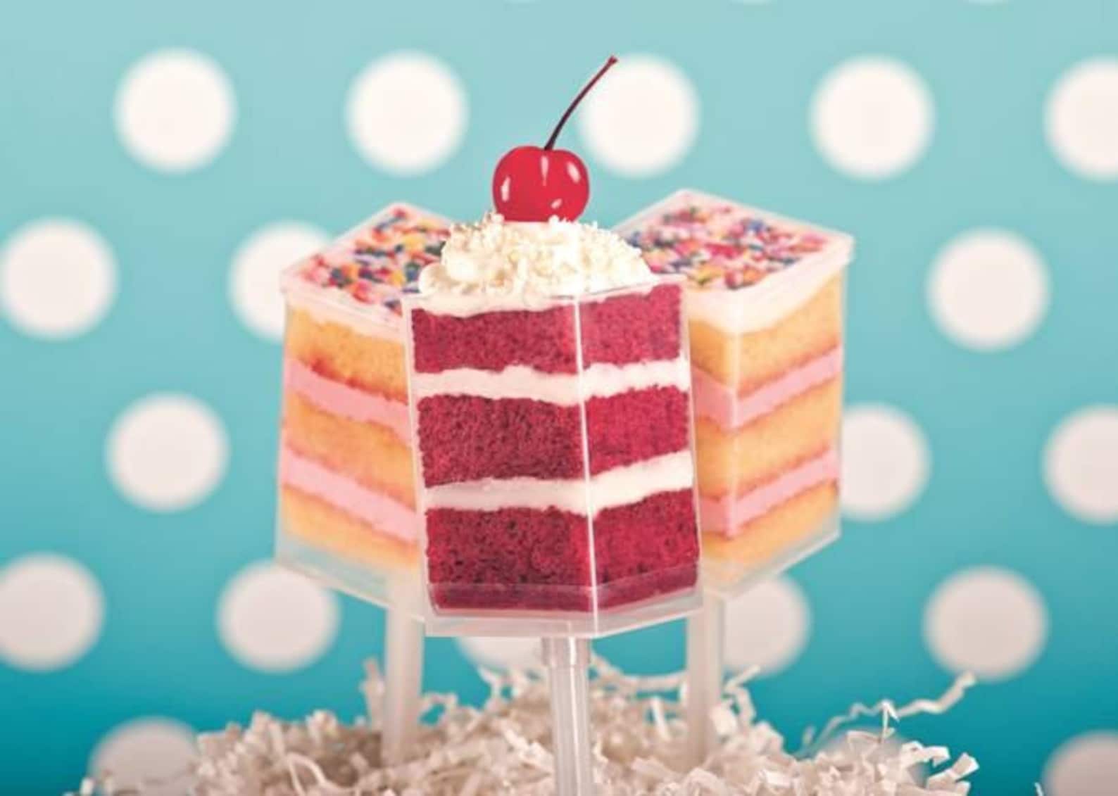 Cakeshooters® - Square Clear Cake Shooter Push Pop - 24 Count - Etsy