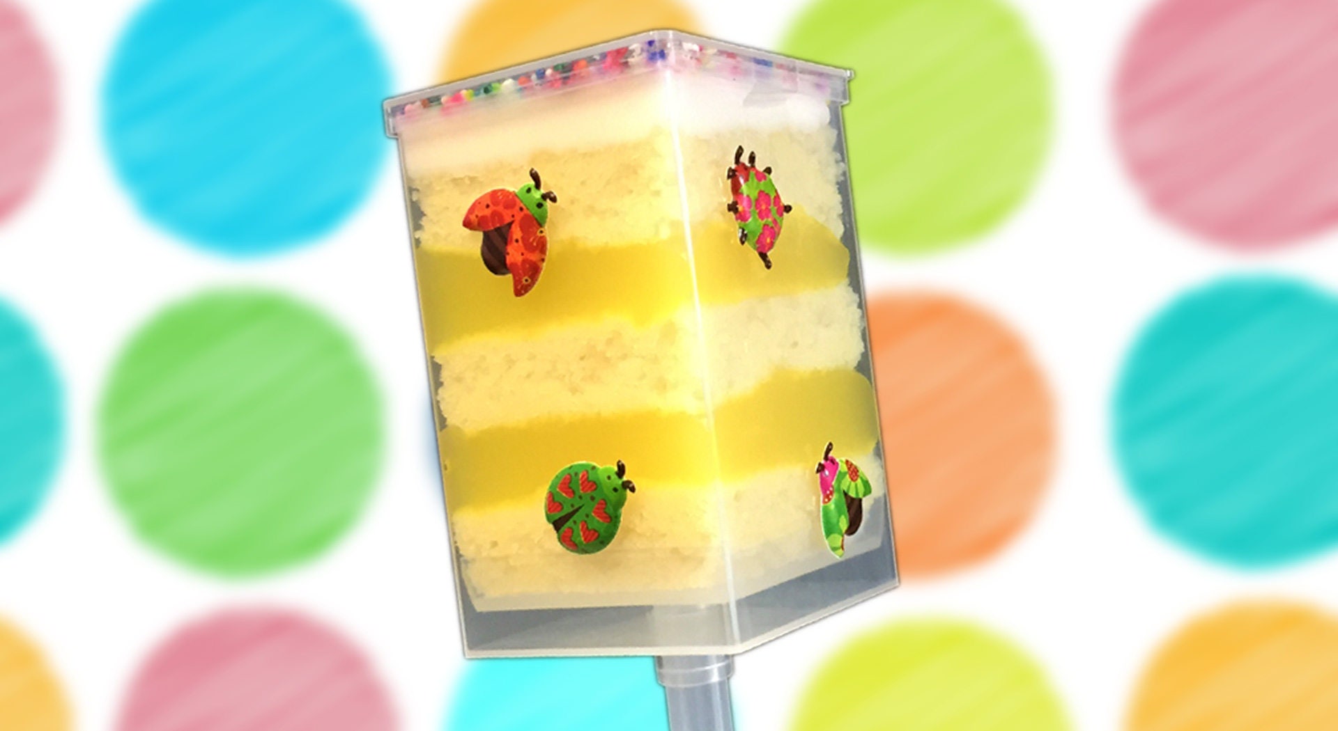 CakeShooters® Square Clear Cake Shooter Push Pop 24 count - Etsy España