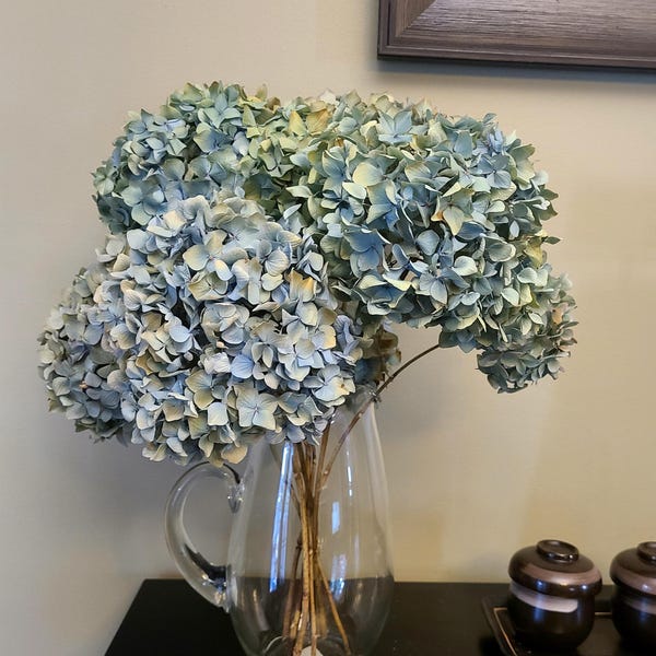 Preserved Hydrangea - Etsy