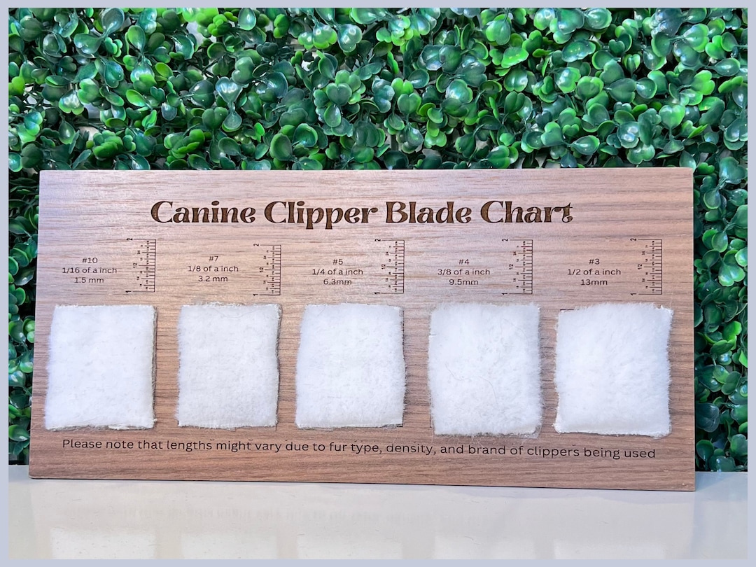 Canine Clipper Blade Chart Groomers Hair Chart Grooming Salon Hair ...