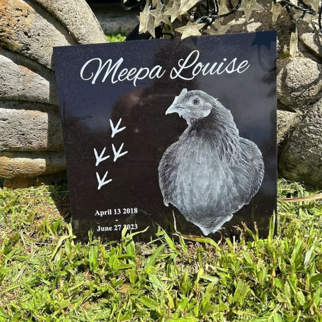 12x6 Chicken Tombstone, Chicken, Roster, Bird Memorial With Your Pet ...