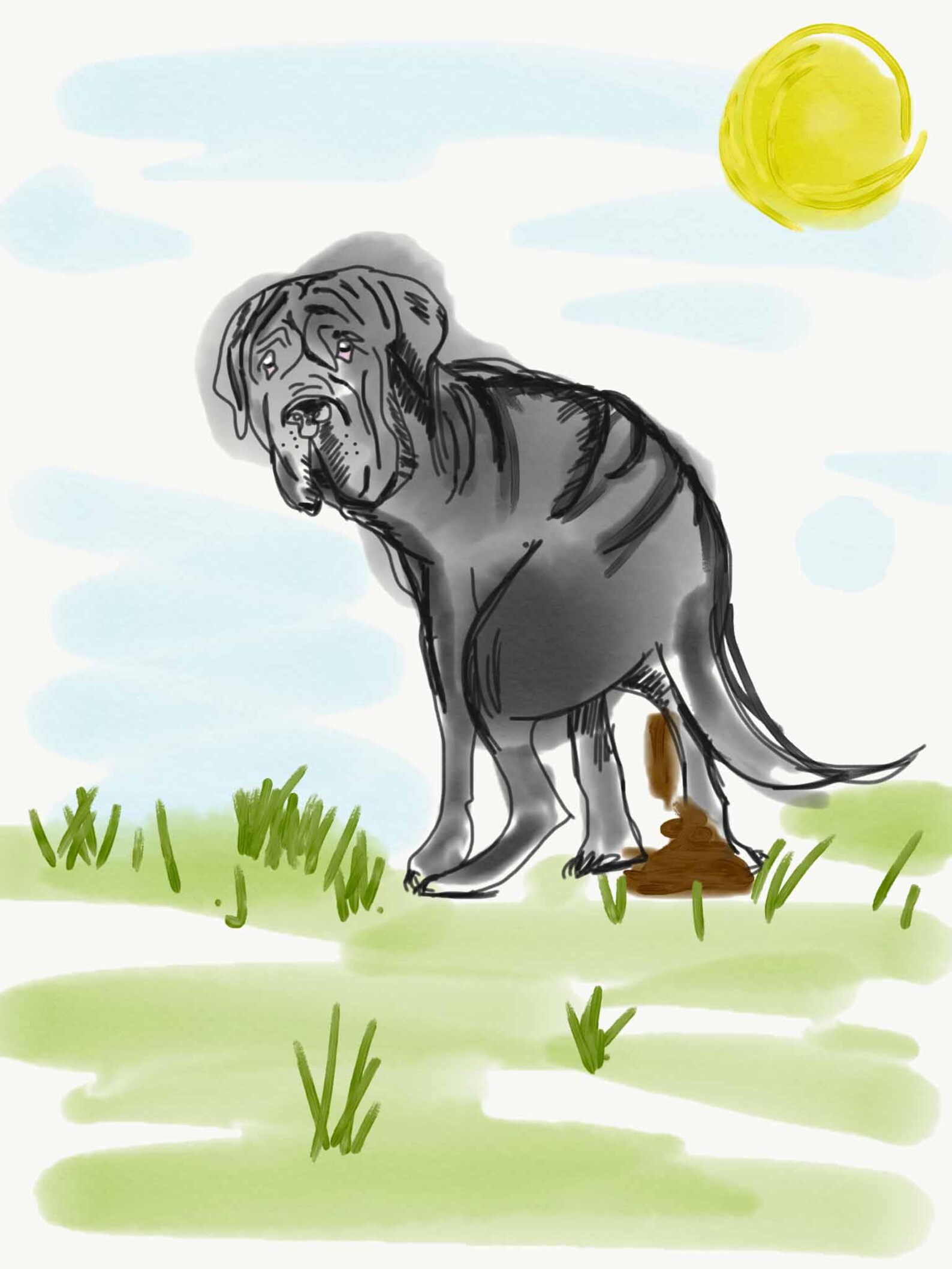 Dog Mastiff Pooping - Illustration, Drawing, Puppy, Big Dog, Gray ...
