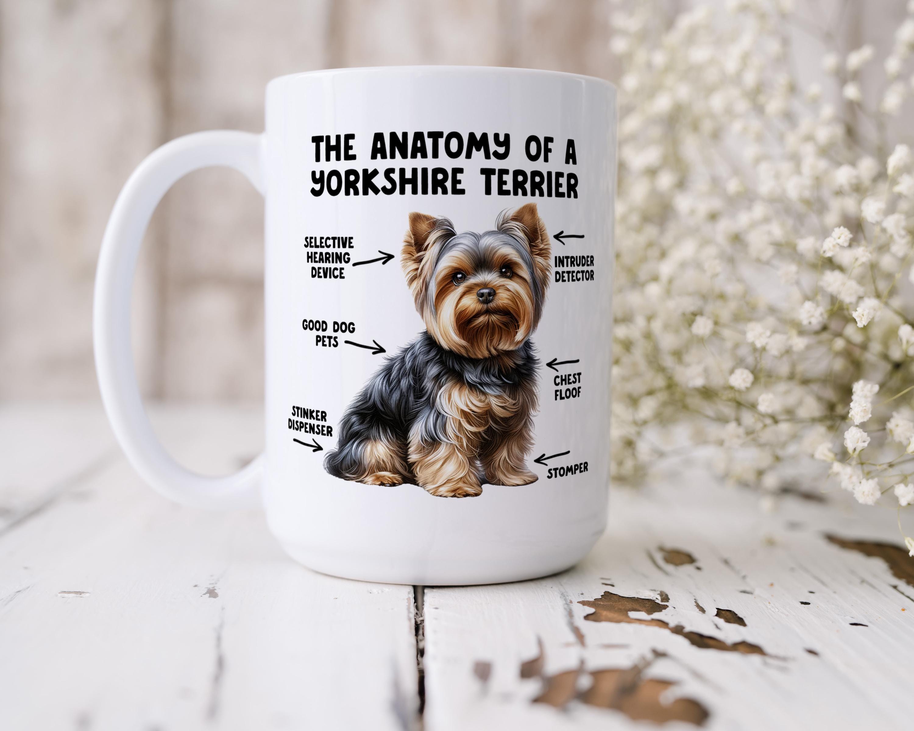 The Anatomy of A Yorkshire Terrier, Yorkie Mum, Dog Anatomy, Yorkie ...