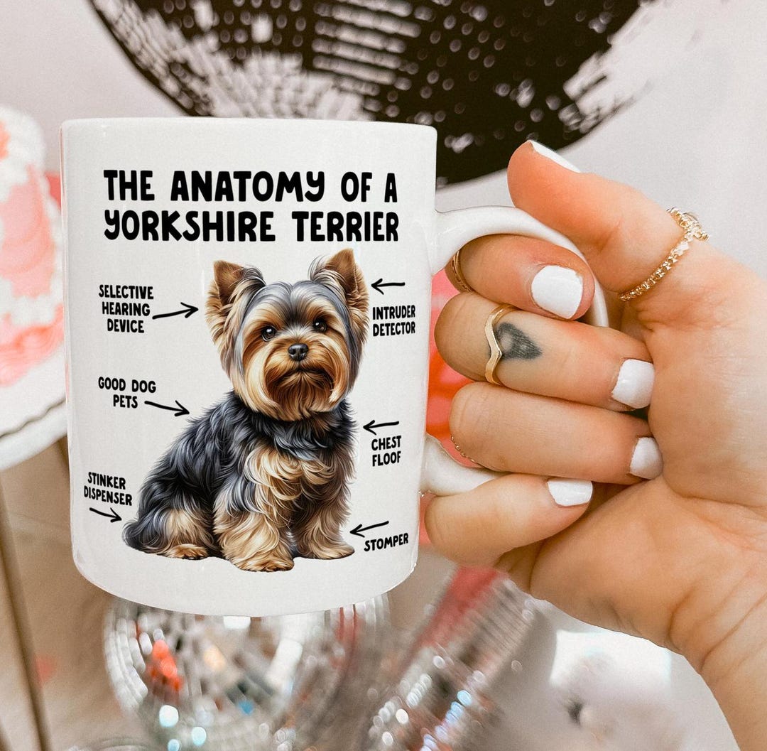 The Anatomy of A Yorkshire Terrier, Yorkie Mum, Dog Anatomy, Yorkie ...