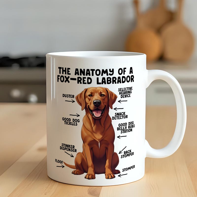 Anatomy Labrador - Etsy