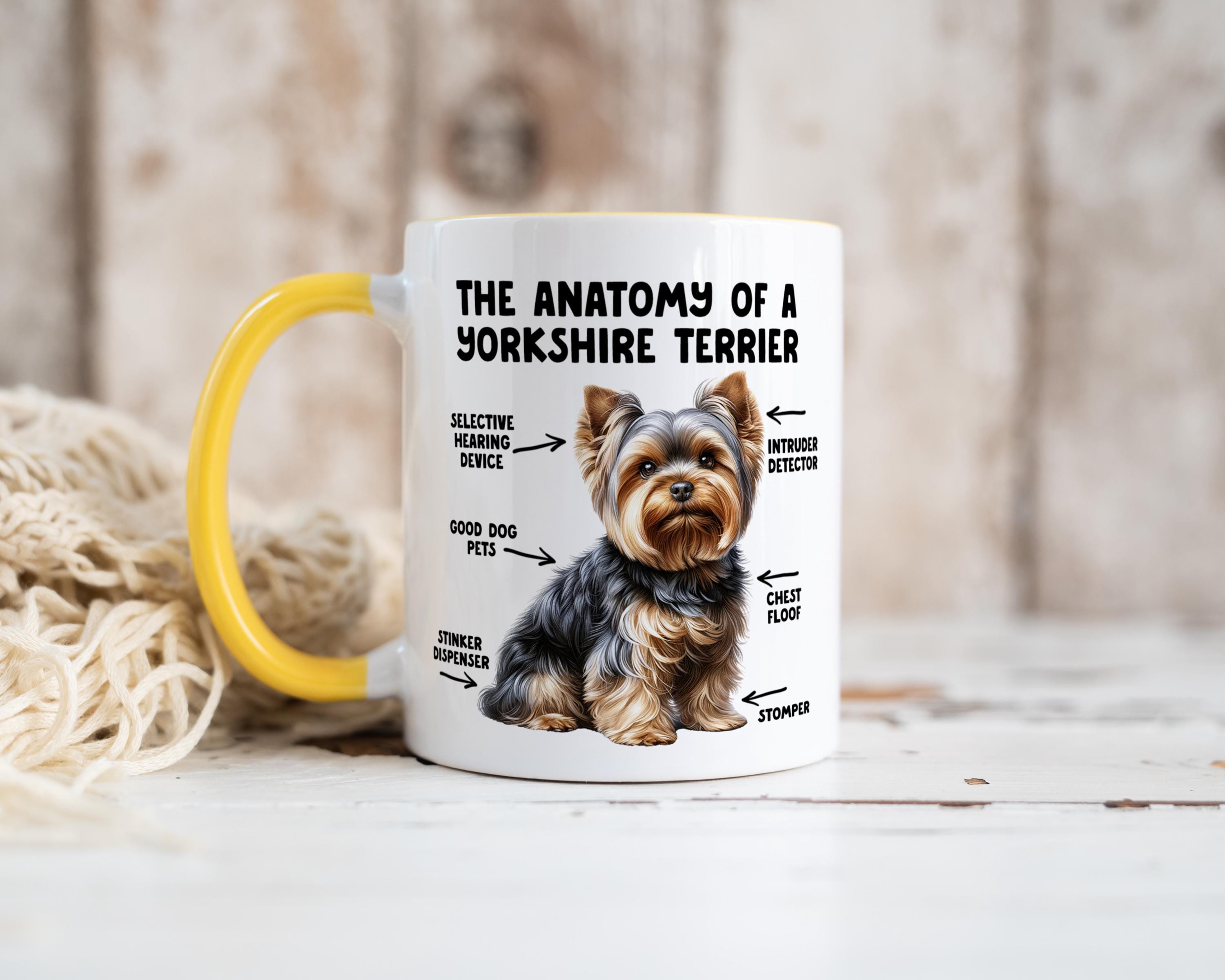 The Anatomy of A Yorkshire Terrier, Yorkie Mum, Dog Anatomy, Yorkie ...