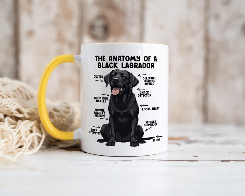 Black Labrador Anatomy Coffee Mug - Funny Dog Owner Gift. - Etsy UK