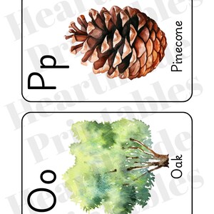 Nature Inspired Alphabet Cards - Cottage Core, Homeschool, Nature ...