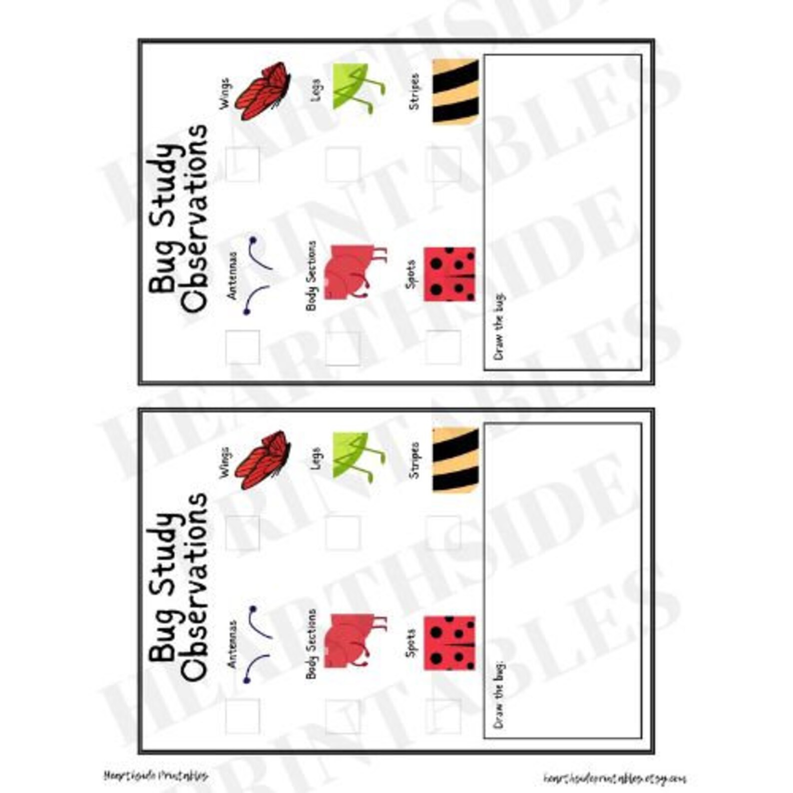 Bug Study Observation Printable – Homeschool Activity (digital Download ...