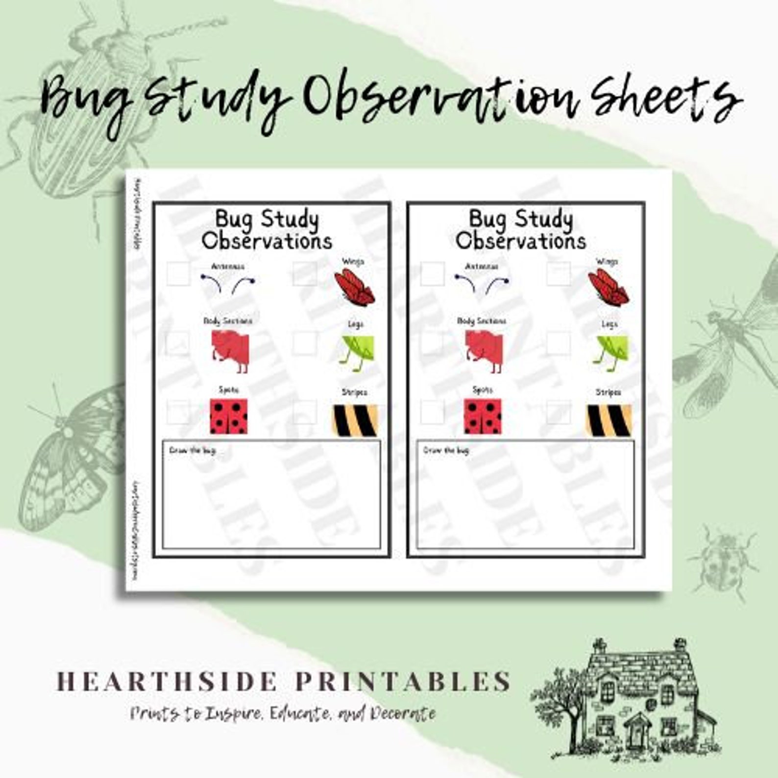 Bug Study Observation Printable – Homeschool Activity (digital Download ...