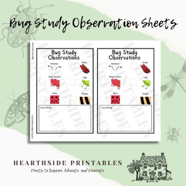 Bug Study Observation Printable - Homeschool, Kids Activities ...